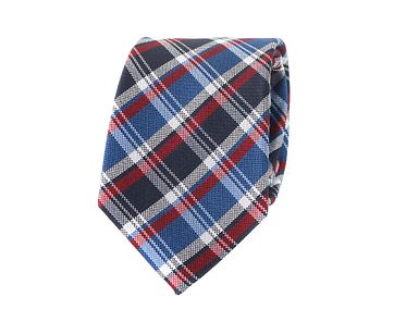 STROPDASSEN voor Heren Online | Uw Stropdas Gratis thuisbezorgd